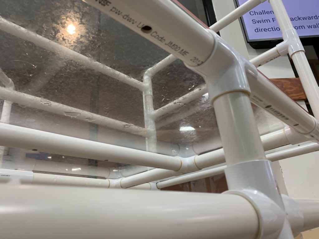 Swimming Ideas Podcast 007: Teaching Platforms for Pools – Swimming ...