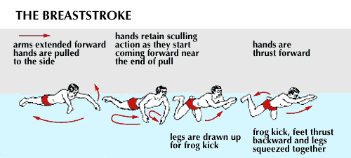 Swim Drill – Breaststroke – Swimming Ideas