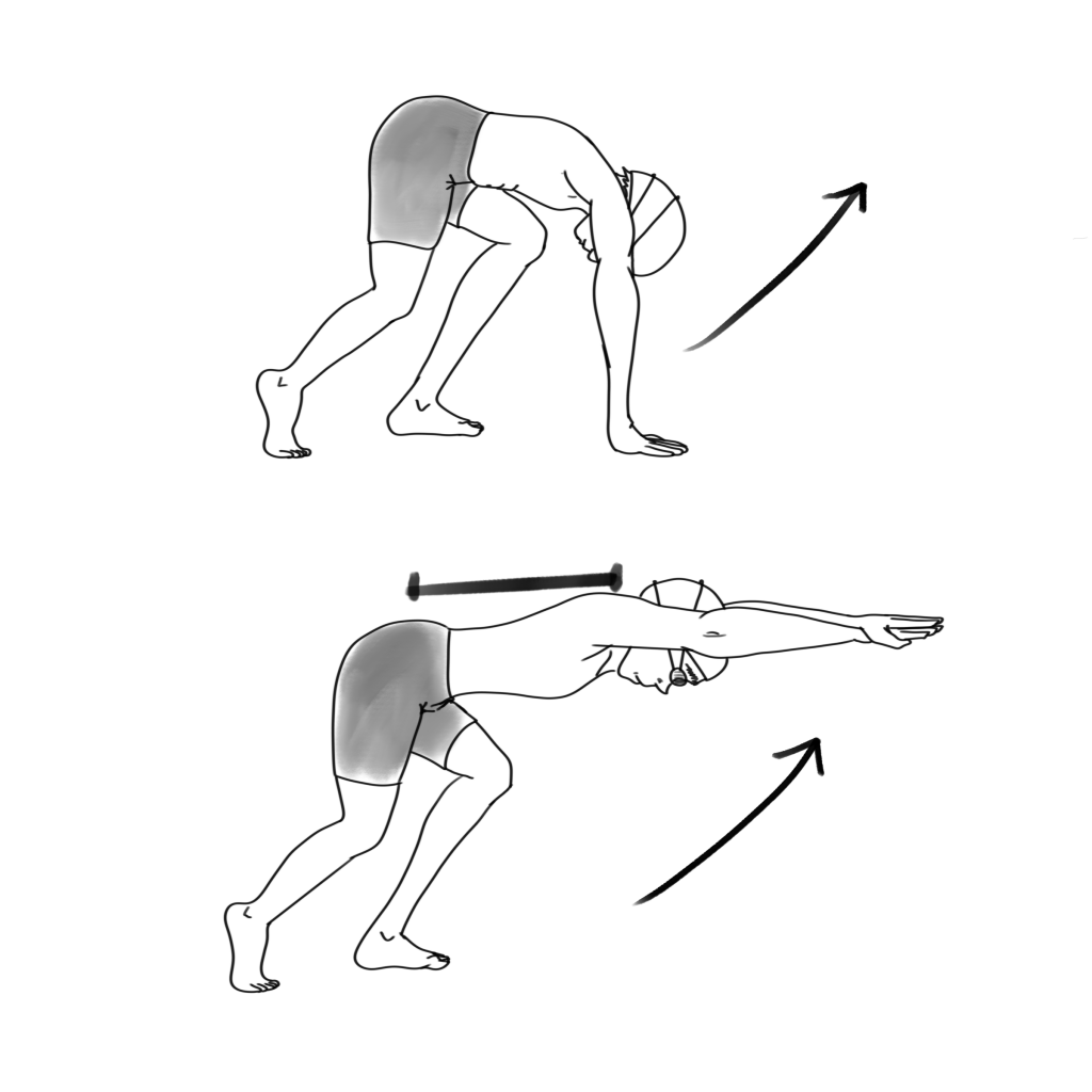 Swimming Ideas for agencies and individuals.