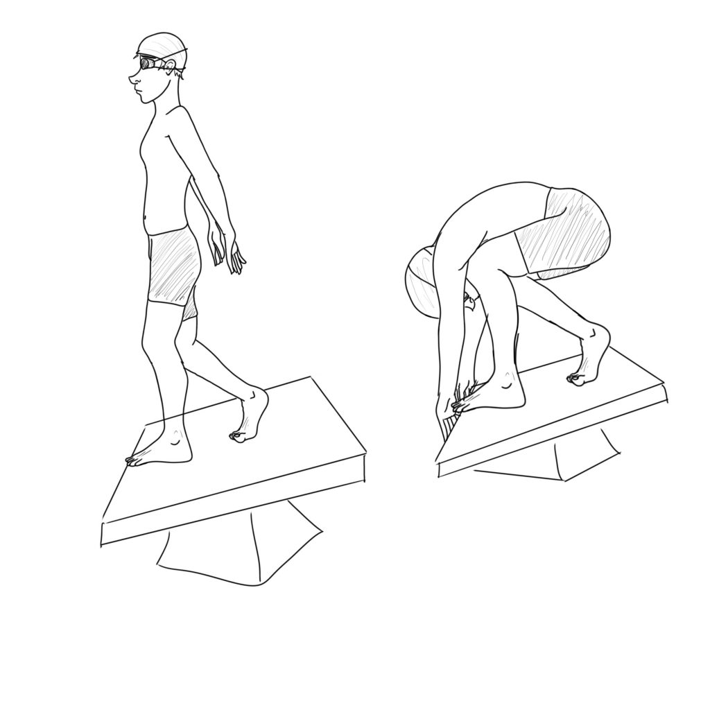 Sharks 11/15/2019 – Swimming Lessons Ideas